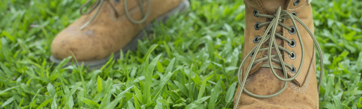 Lawn Care Careers | Grassmaster Plus