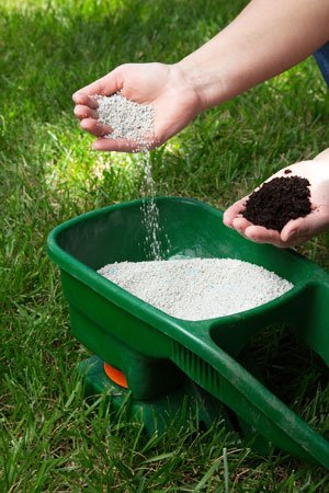 Organic VS Synthetic Fertilizer