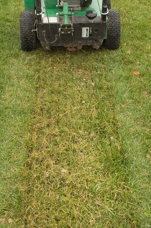 Learn Why Slit Seeding Is Beneficial For Your Lawn!